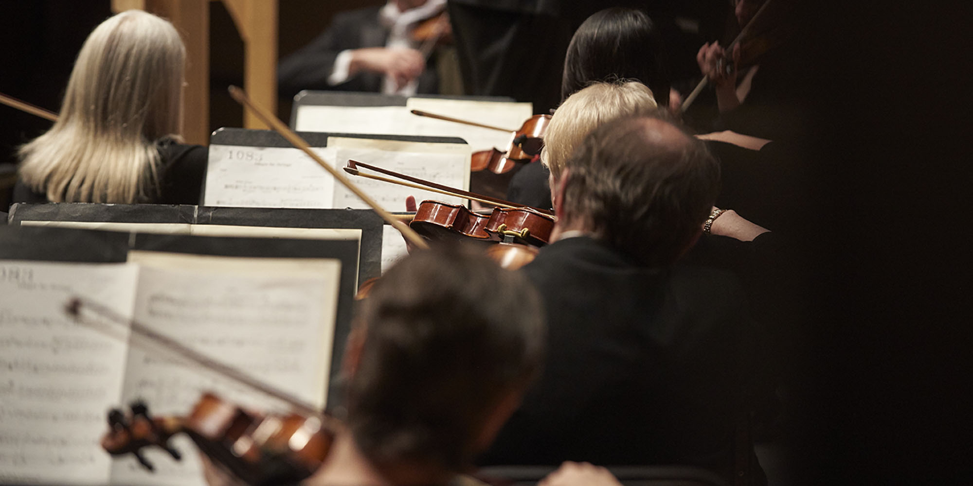 Learn About PSO | Portland Symphony OrchestraPortland Symphony Orchestra